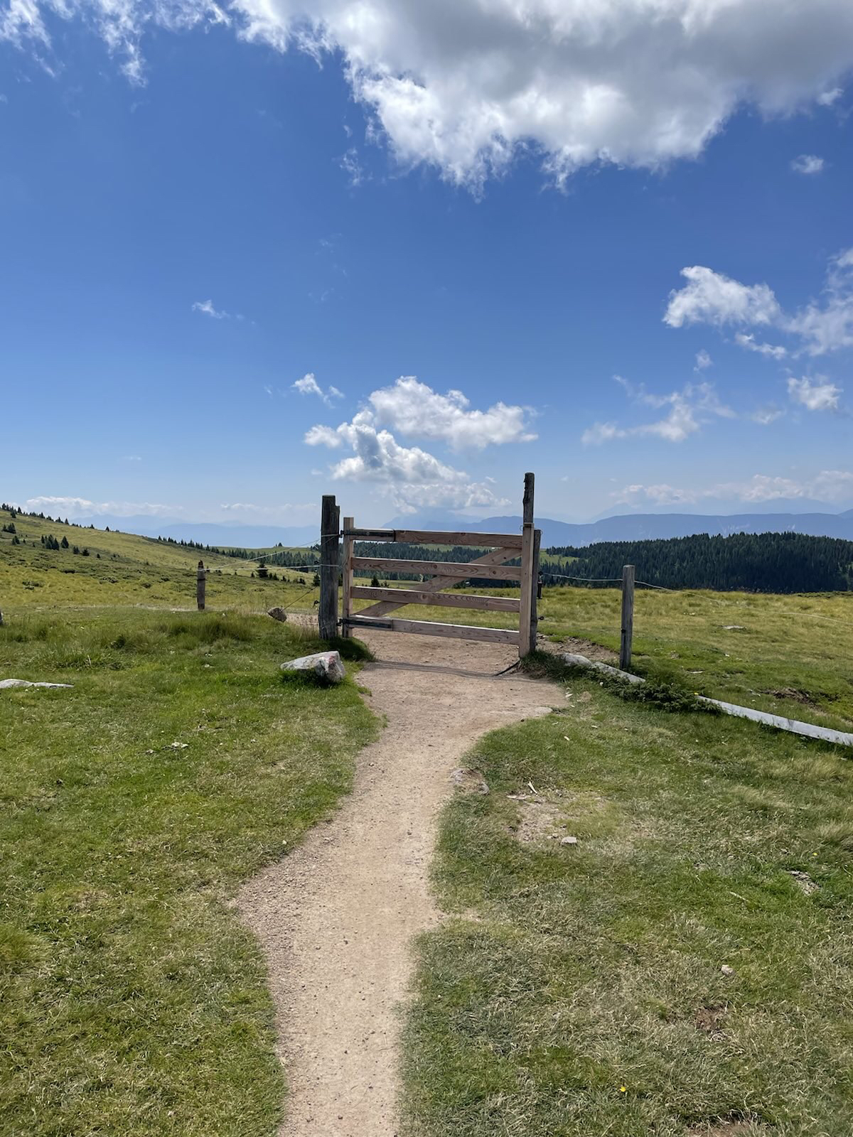 Psychotherapie in Wildeshausen - Nicole Prinz